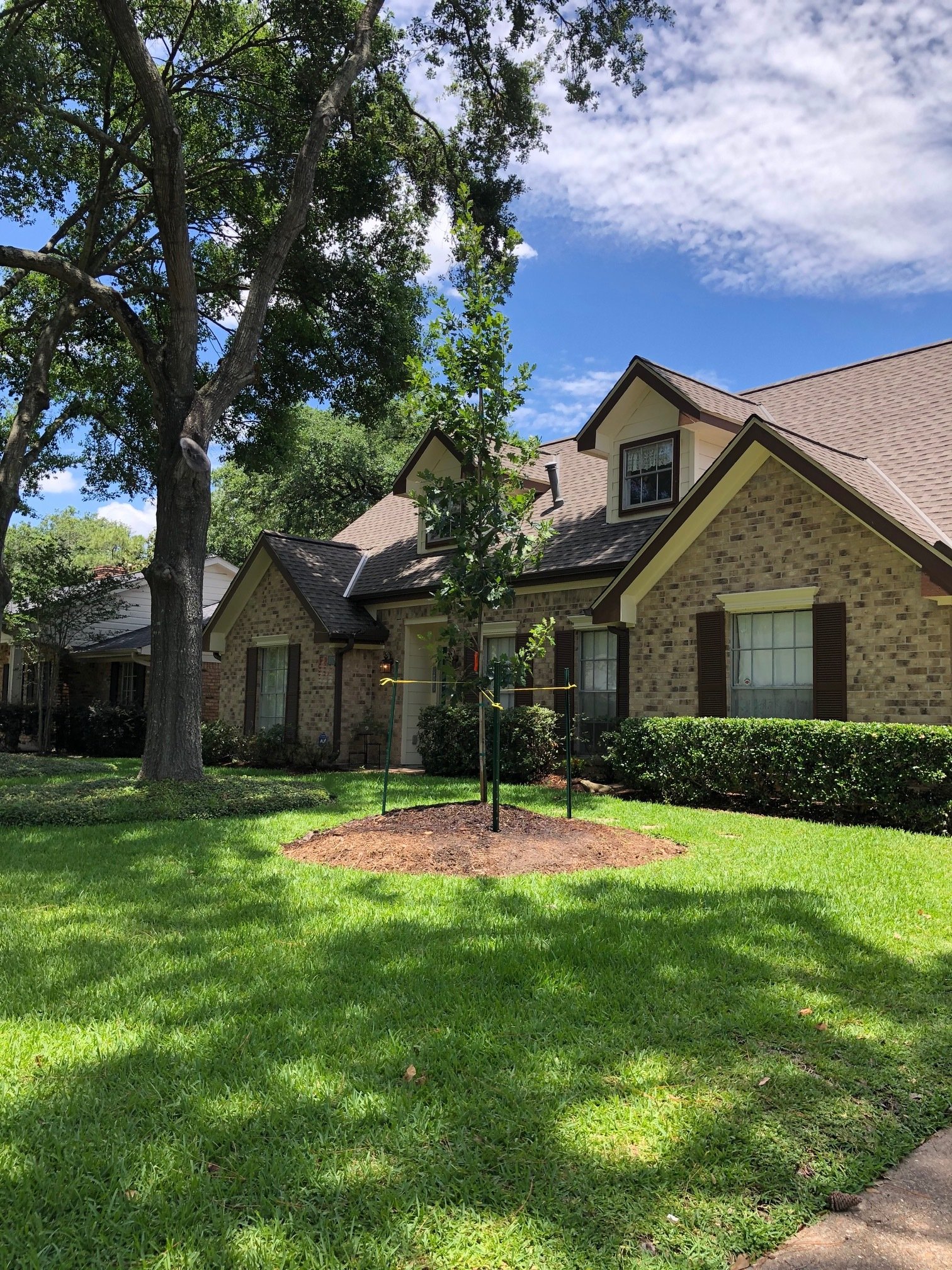 Gallery | Absolute Lawncare & Landscaping